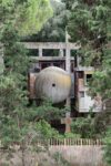 The Casa Albero [The House in the Trees] - Italics Art and Landscape